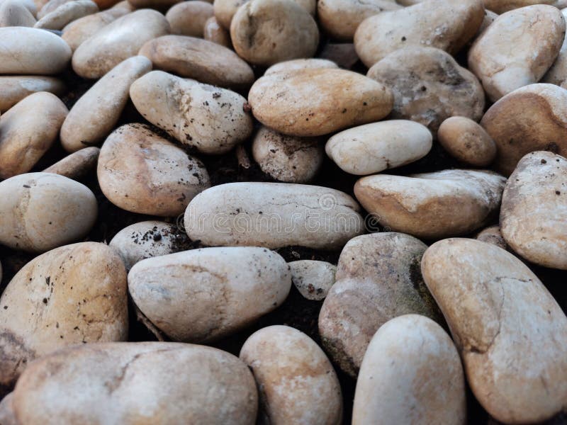 White Small Rocks on the Soil Stock Photo - Image of soil, nature ...