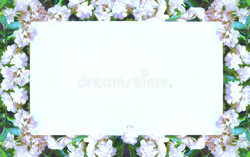 White Small Roses Frame with Blank Empty Space Stock Photo - Image of ...
