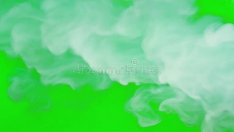 White Smoke Billows and Swirls Against a Green Screen Background. the ...