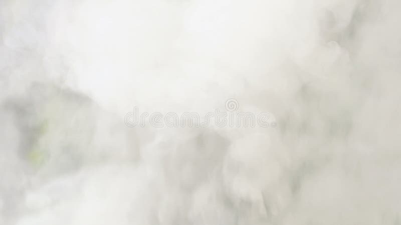 White Smoke from Burning Wood. a Fire in the Woods Stock Video - Video ...