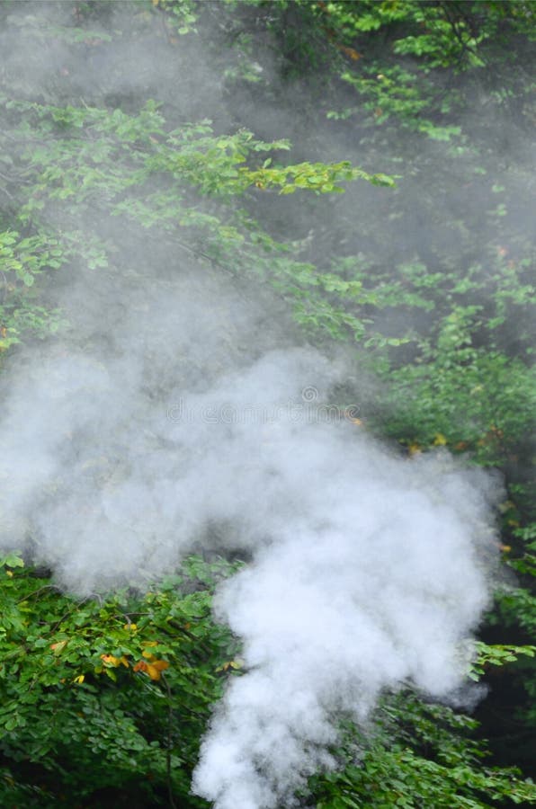 White Smoke Spreads Over the Background of Forest Trees Stock Photo ...