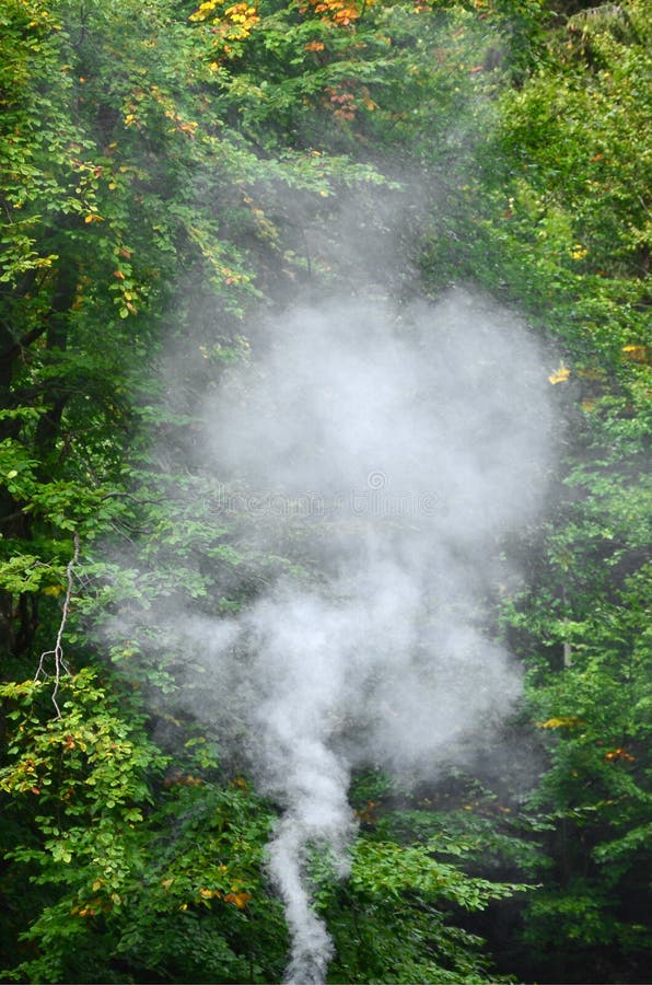 White Smoke Spreads Over the Background of Forest Trees Stock Photo ...