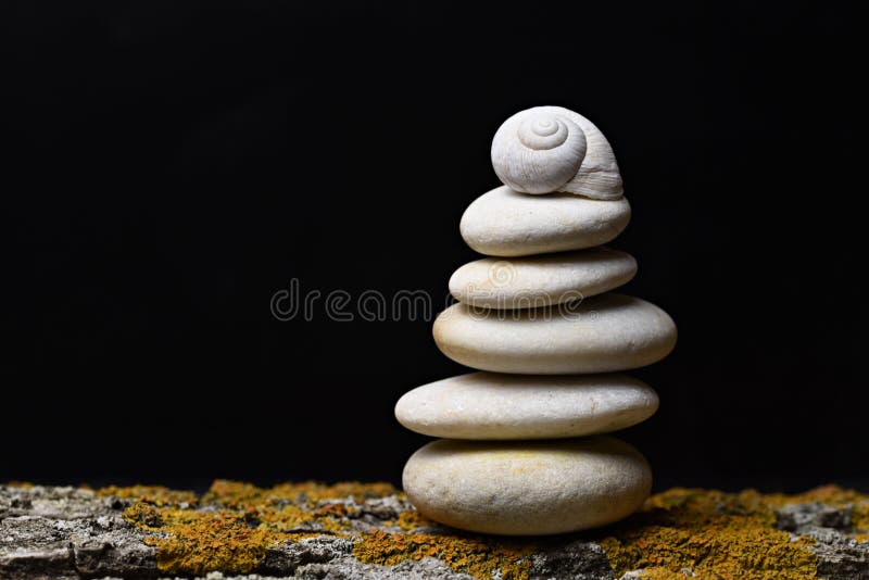 White Snail Shell on Top of a Pile of Stones Stock Image - Image of ...