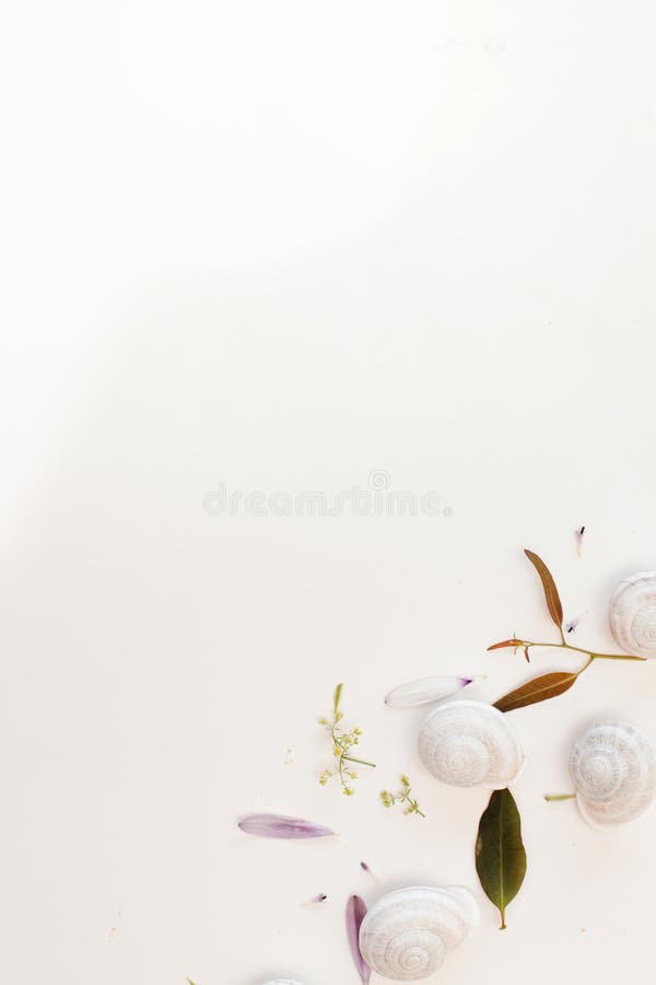 White Snails on White Background with Petals and Leaves Background ...
