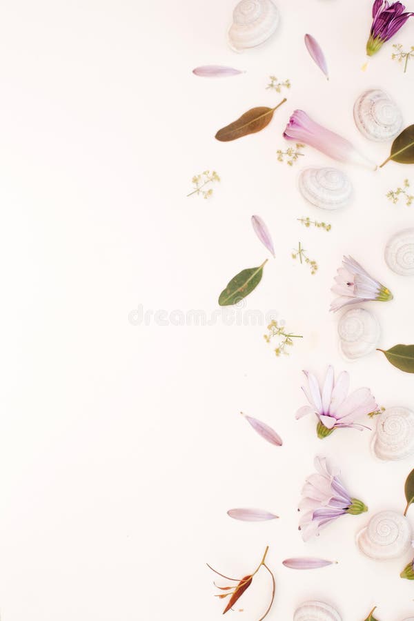 White Snails on White Background with Petals and Leaves Background ...