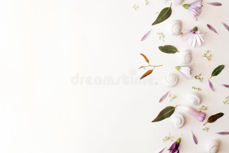 White Snails on White Background with Petals and Leaves Background ...