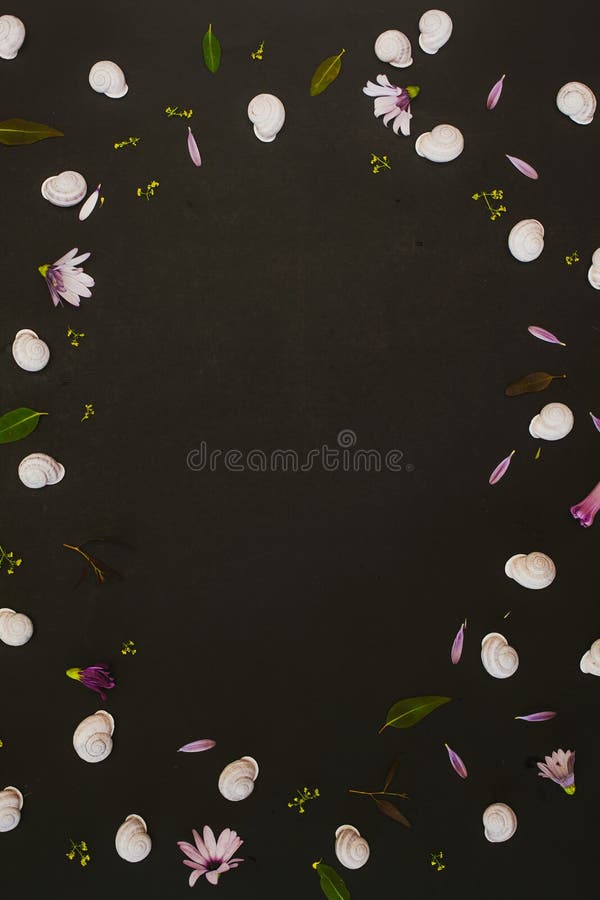 White Snails on Black Background with Petals and Leaves Background with ...