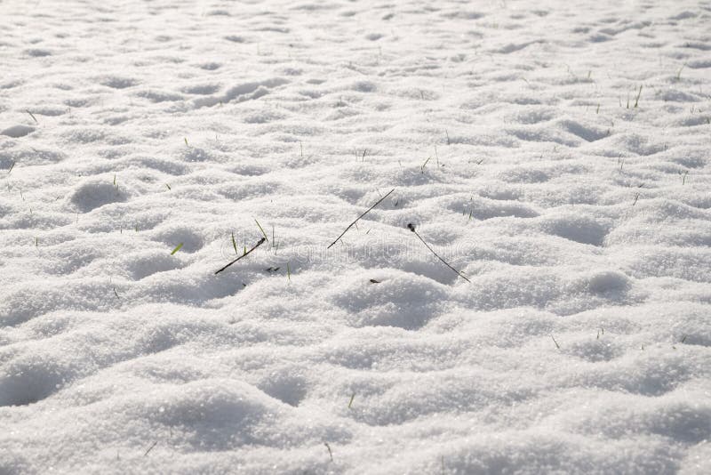 White Snow Covered the Ground Texture Background Stock Photo - Image of ...