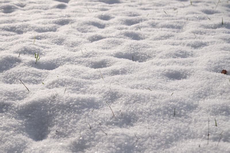 White Snow Covered the Ground Texture Background Stock Photo - Image of ...