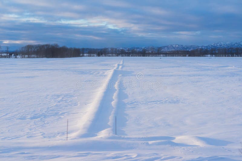White Snow Field Dark Tree Line Mountain Background Stock Photos - Free ...