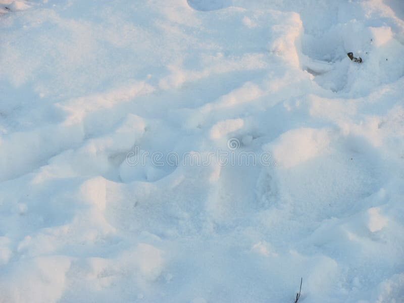 White snow with footprints stock image. Image of outdoor - 217565319