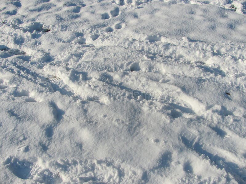 White snow with footprints stock image. Image of frozen - 220088601