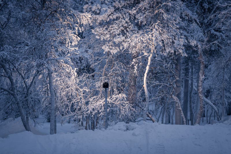 White Snow Plain and Forest, Rural Road in Northern Finland in Winter ...
