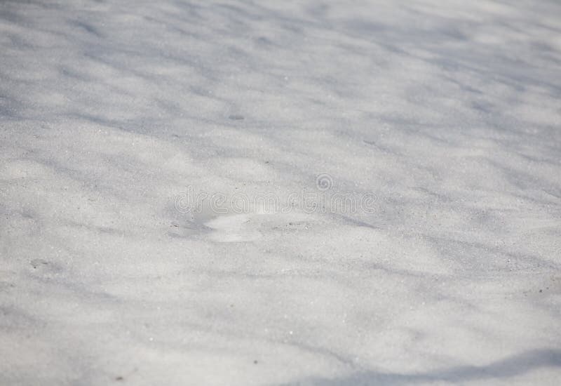 White Snow Surface Texture Macro Closeup Stock Photo - Image of shiny ...
