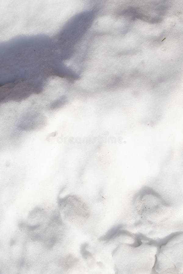 White Snow in Visible Detail. Background or Texture Stock Photo - Image ...