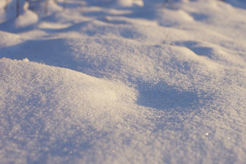 White Snow in with Warm Sunlight and Blue Shadows Stock Photo - Image ...