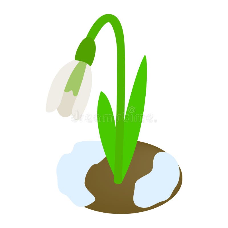 White Snowdrop Icon, Isometric 3d Style Stock Vector - Illustration of ...