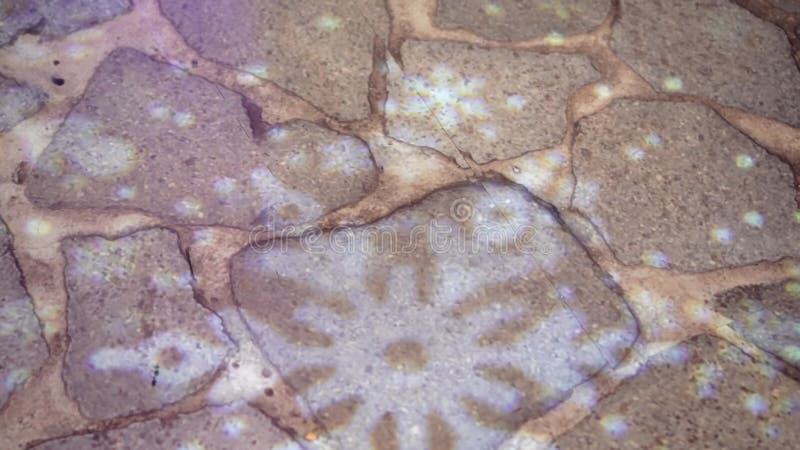 White Snowflake Lighting at Floor Stock Footage - Video of decoration ...