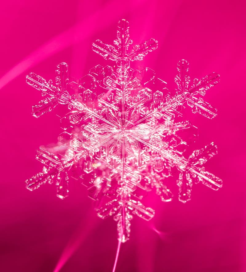 White Snowflake on a Pink Background Stock Image - Image of close ...