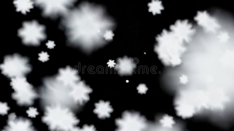 White Snowflakes Falling on Black Background in Seamless Loop Animation ...
