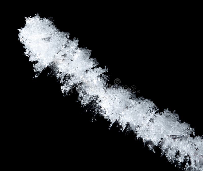 White Snowflakes on a Tree Branch is Isolated on a Black Background ...