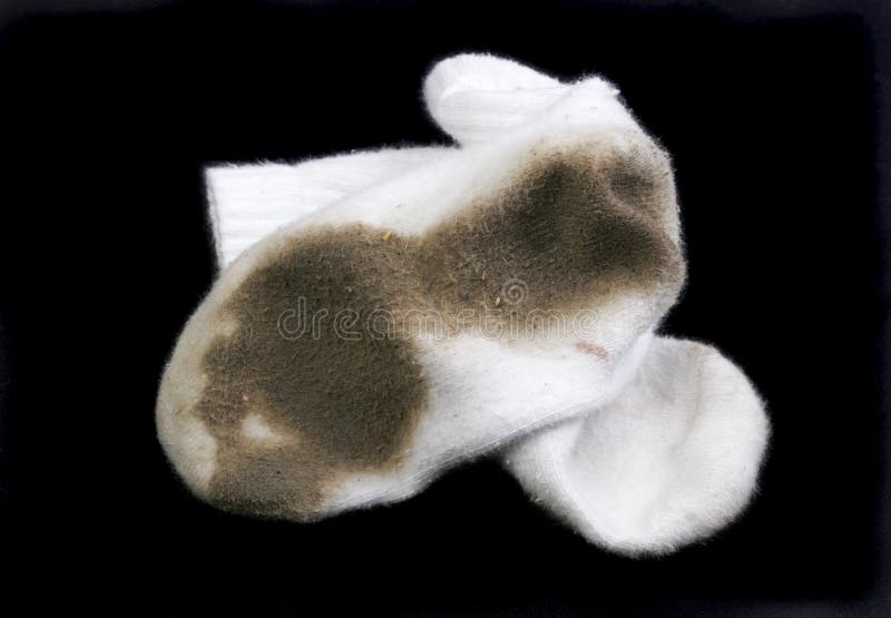 White Socks stock photo. Image of wash, socks, material - 4414060