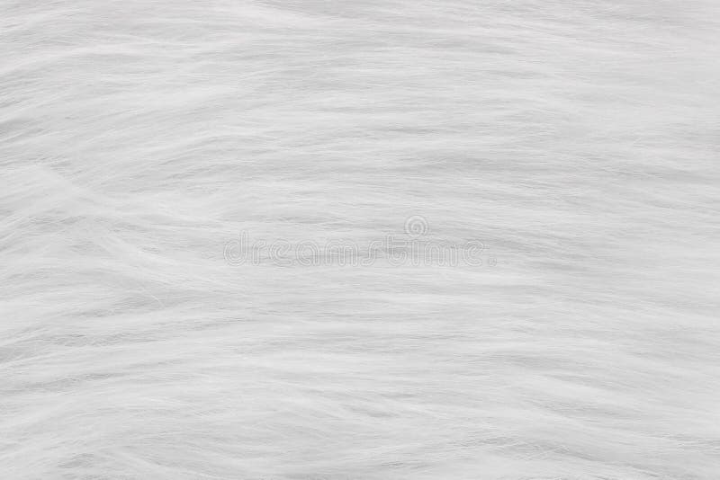 White Soft Wool Pattern Texture, Abstract Light Fluffy Fur Background ...