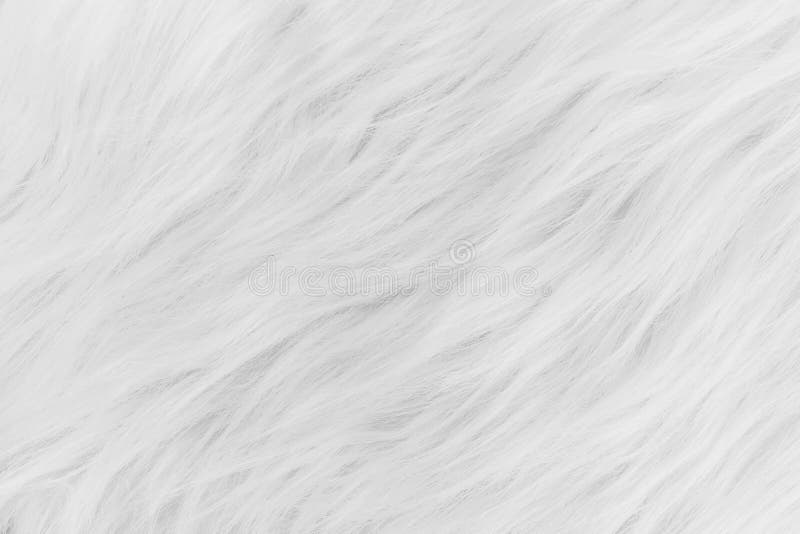 White Soft Wool Pattern Texture, Abstract Light Fluffy Fur Background ...