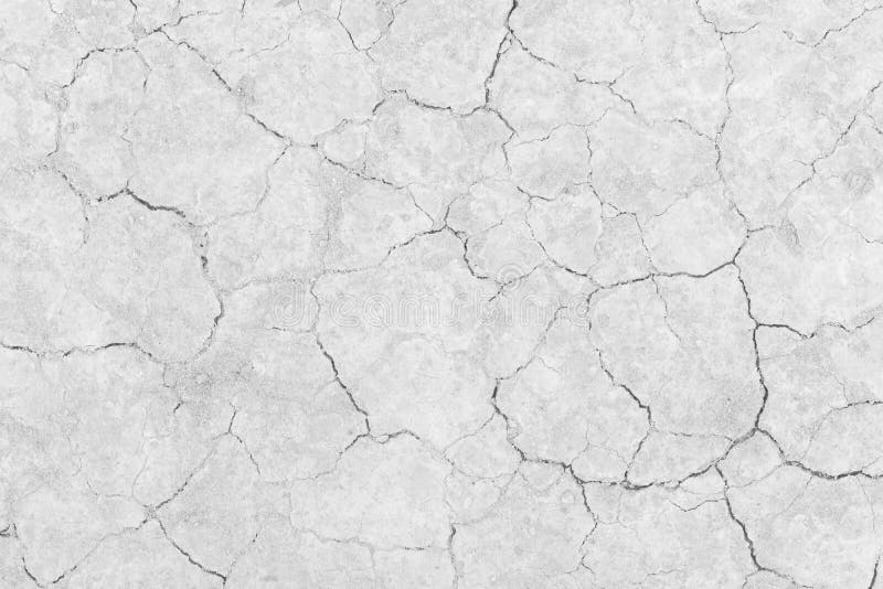 White Soil Drought Cracked Texture Stock Photo - Image of texture ...