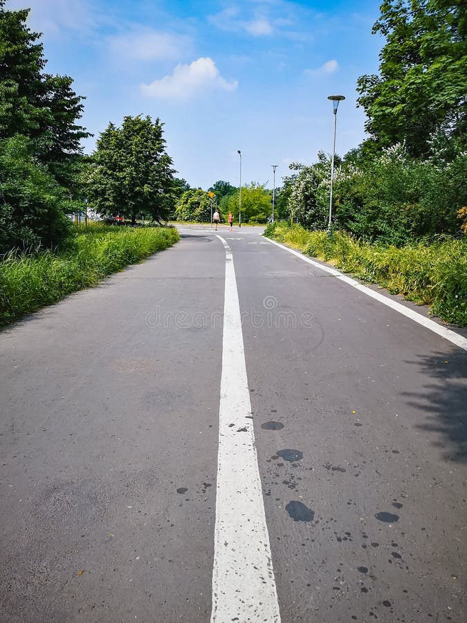 White Solid Line on Path in Park with Green Bushes and Trees Around ...