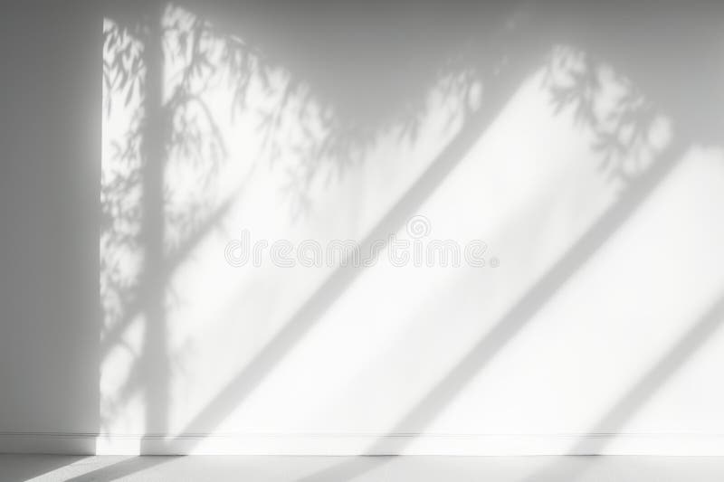 White Space Abstract Background with Window Drop Shadow. Stock ...