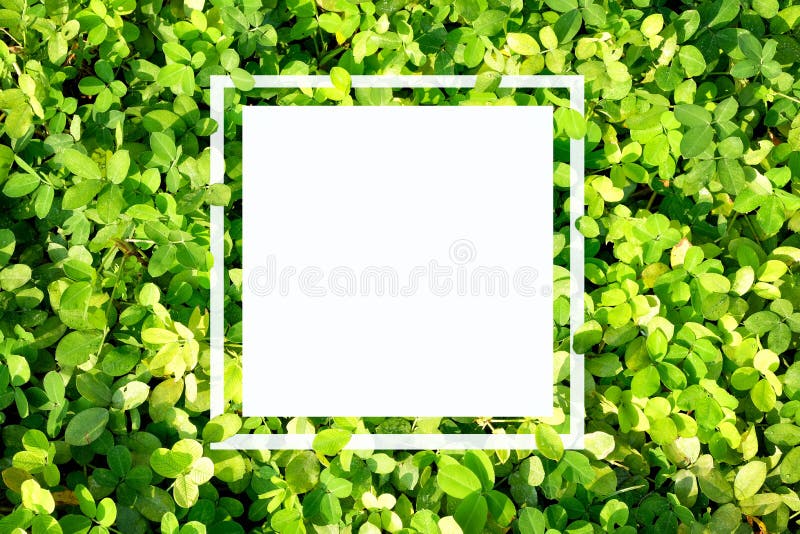 White Space for Text on Nature Background Stock Image - Image of ...