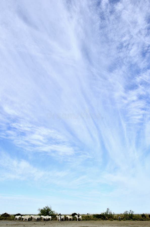 White Sparse Clouds Over Blue Sky Stock Photo - Image of cumulus, blue ...