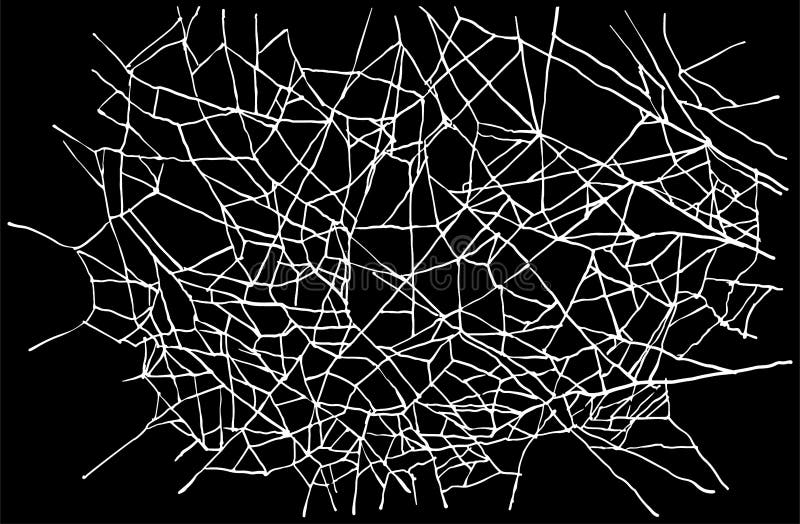 White Spider Web on a Black Background. Stock Vector - Illustration of ...