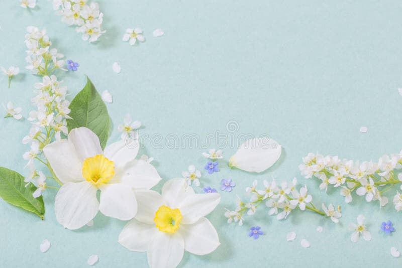 Spring Flowers on Paper Background Stock Image - Image of fresh, paper ...
