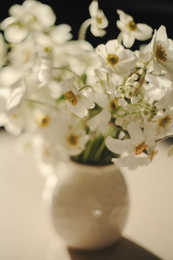 White Spring Flowers in Sunlight, Bridal Bouquet Stock Image - Image of ...