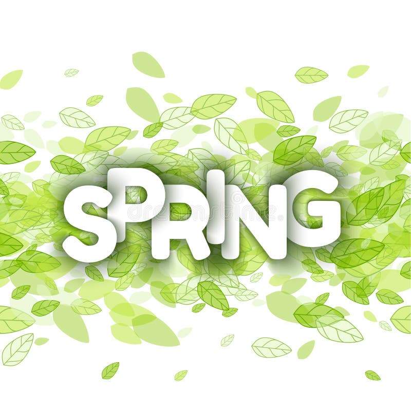 White Spring Sign Over Green Leaves Stock Vector - Illustration of ...