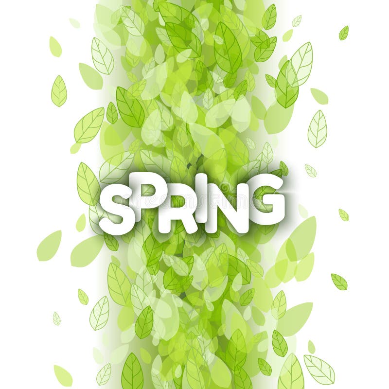 White Spring Sign Over Green Leaves Stock Vector - Illustration of ...