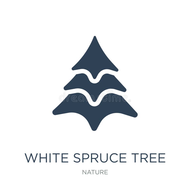 White Spruce Tree Icon in Trendy Design Style. White Spruce Tree Icon ...