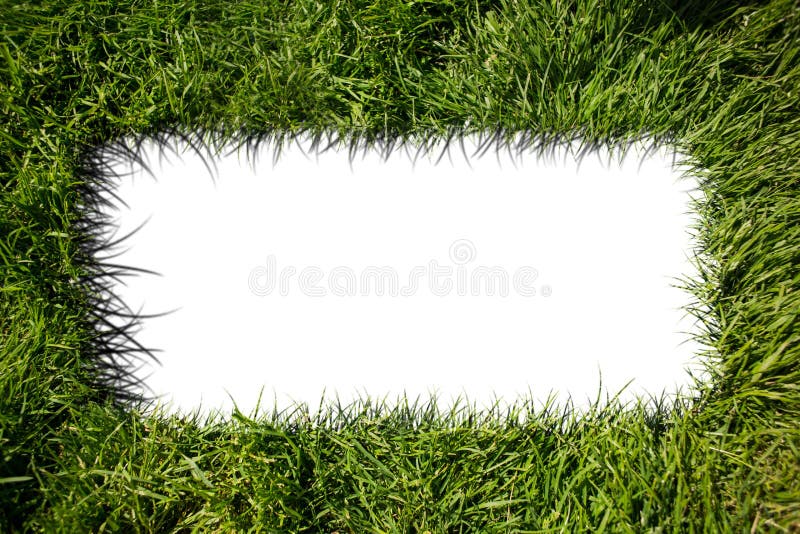 White Square Inside Green Grass Stock Image - Image of white, space ...