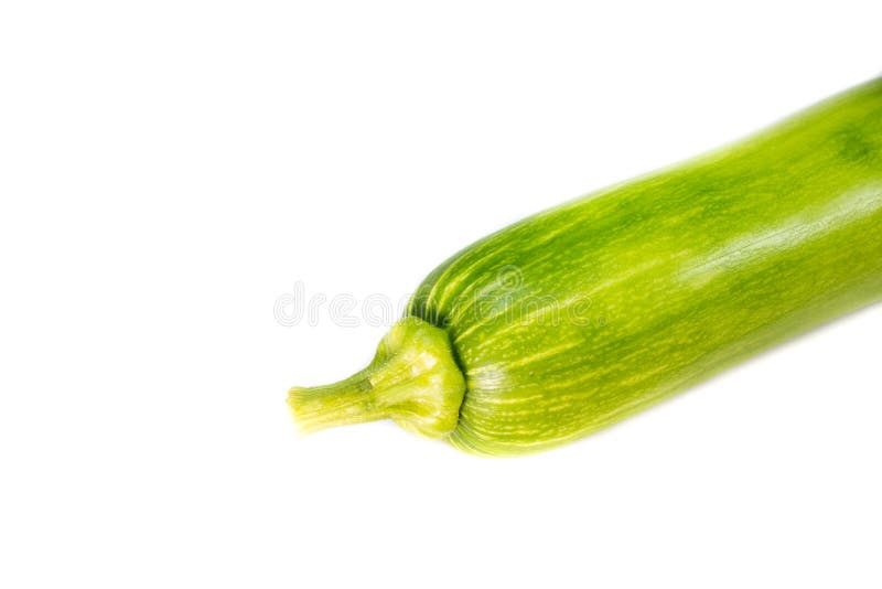 White squash stock image. Image of green, flower, ingredient - 33192169