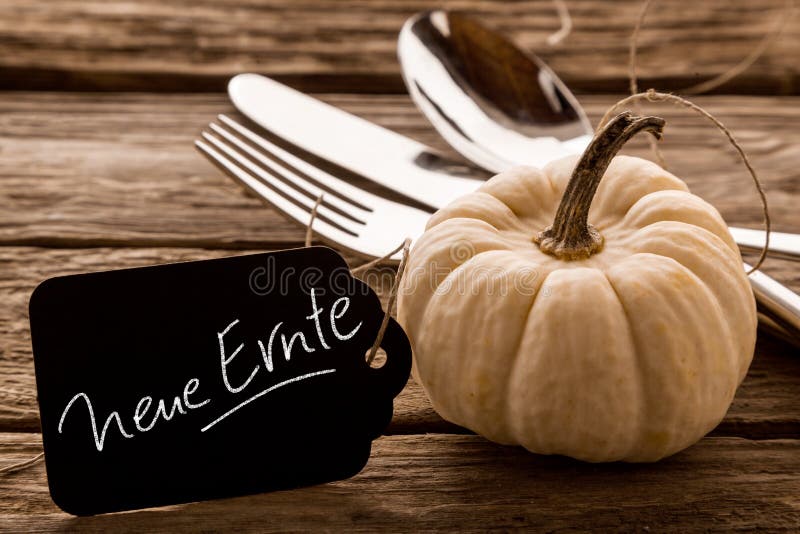 White squash with a tag stock photo. Image of gourd, utensil - 88181772