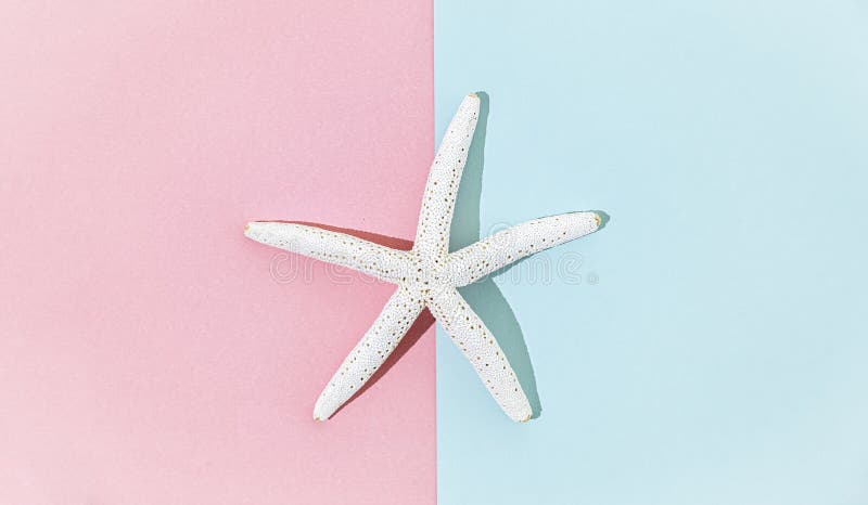 White Star Fish on Symmetrical Pink and Blue Background, Top View Stock ...