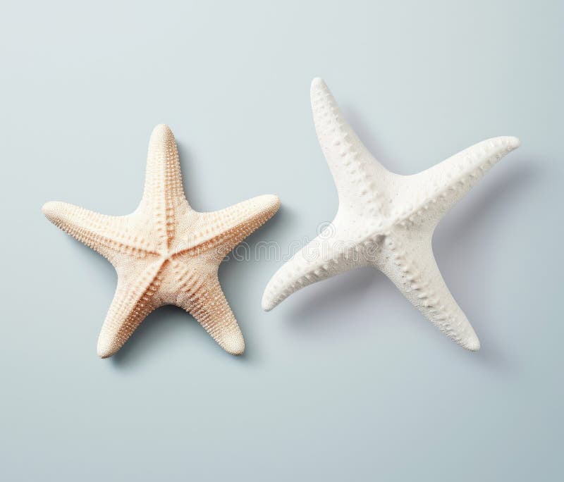 White Starfish Isolated on Transparent Background, Generative Ai Stock ...