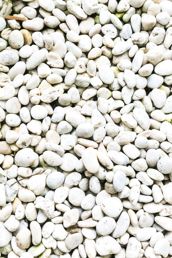 White Stone Background, Dry Round Stock Photo - Image of garden, heavy ...