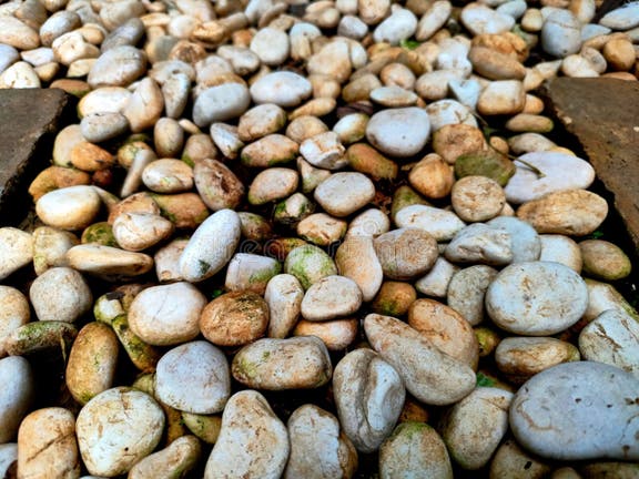 White Stone that Changes Color Stock Image - Image of change, backyard ...