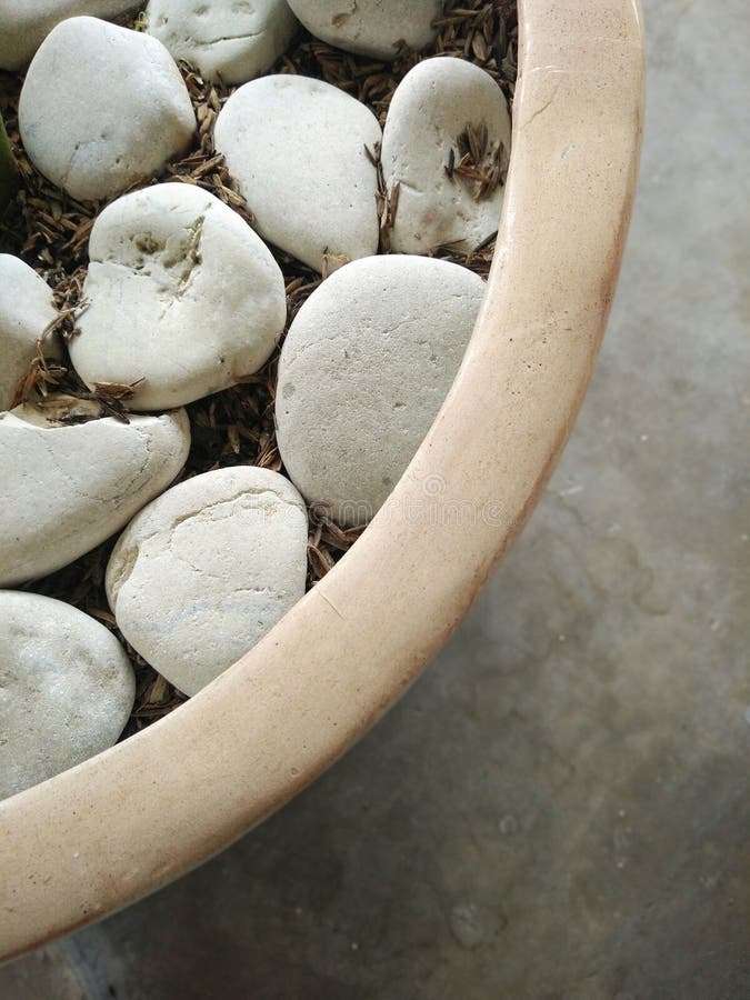 White Stone Decoration in Flower Pot Stock Image - Image of rock, soil ...