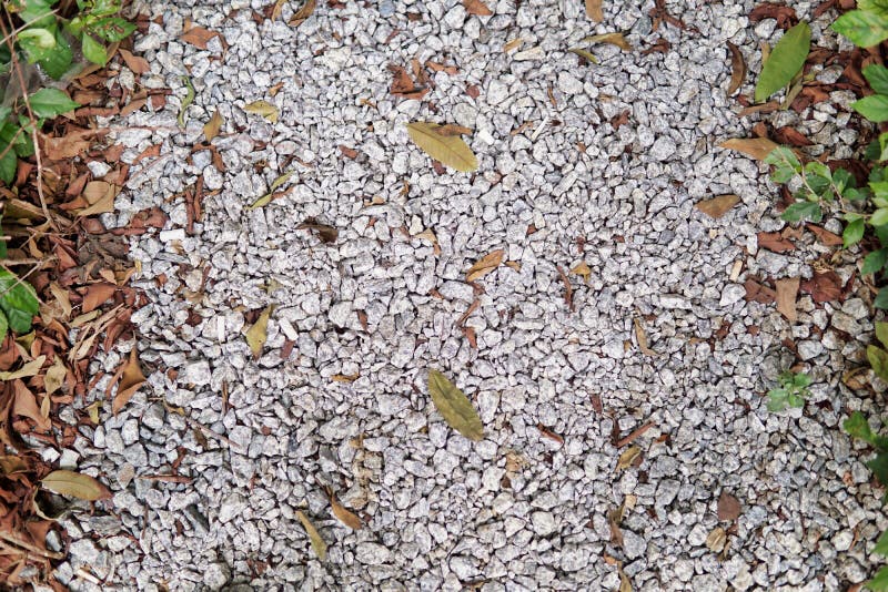 White Stone Gravel Pathway in between of the Grass Stock Photo - Image ...