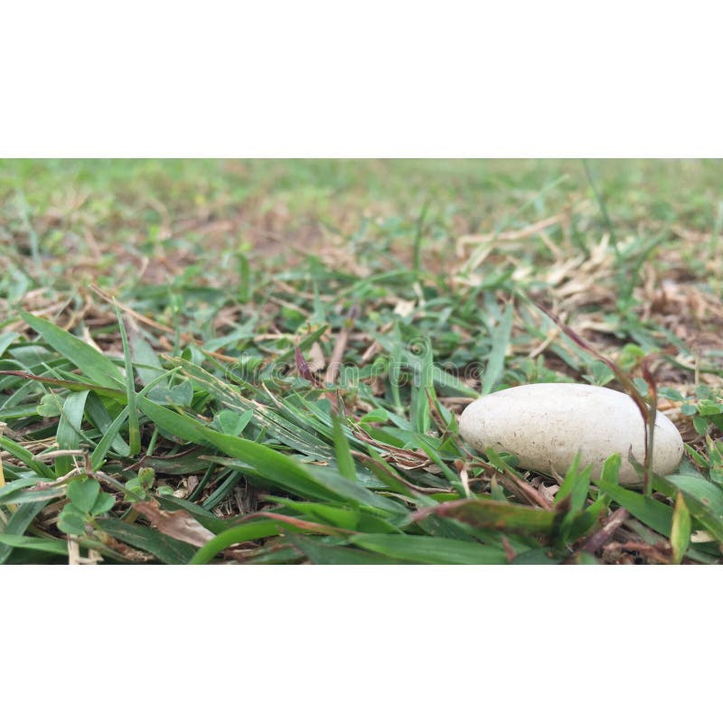 White stone stock image. Image of stone, white, area - 84640133