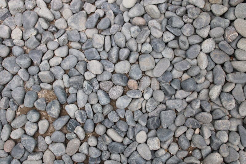 White Garden Stones Scattered Elegance Stock Photo - Image of daytime ...